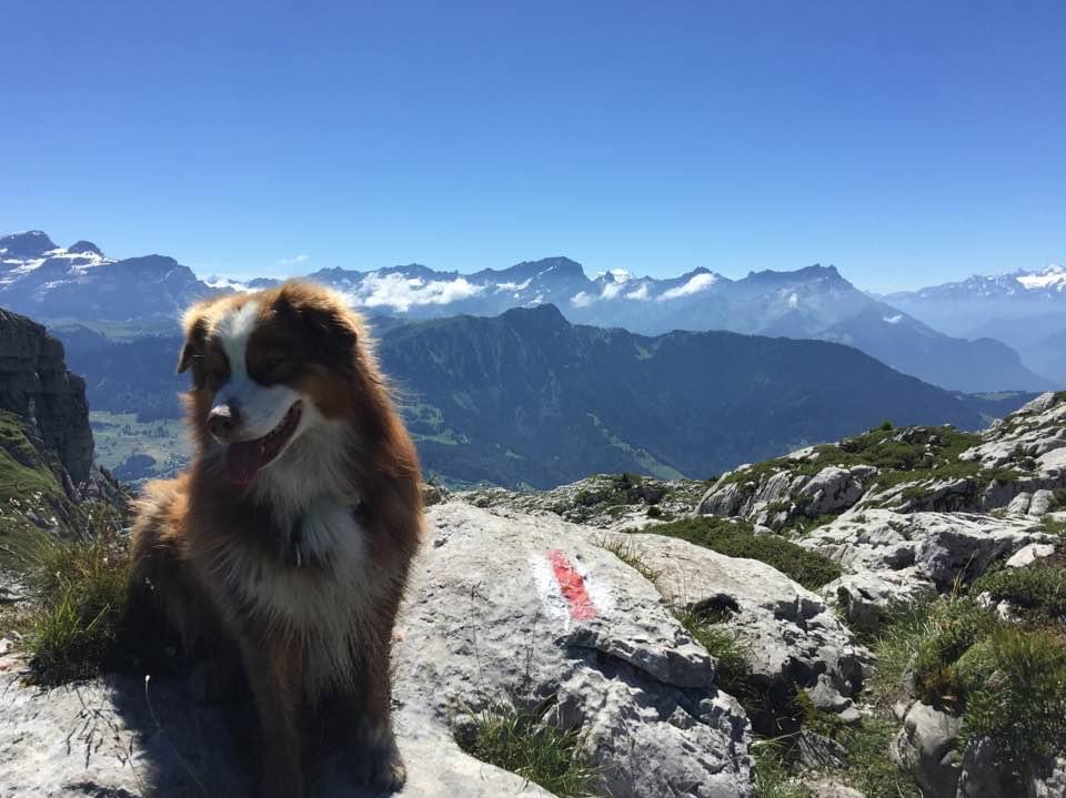 Feedback: It's Not what You Think | btihen